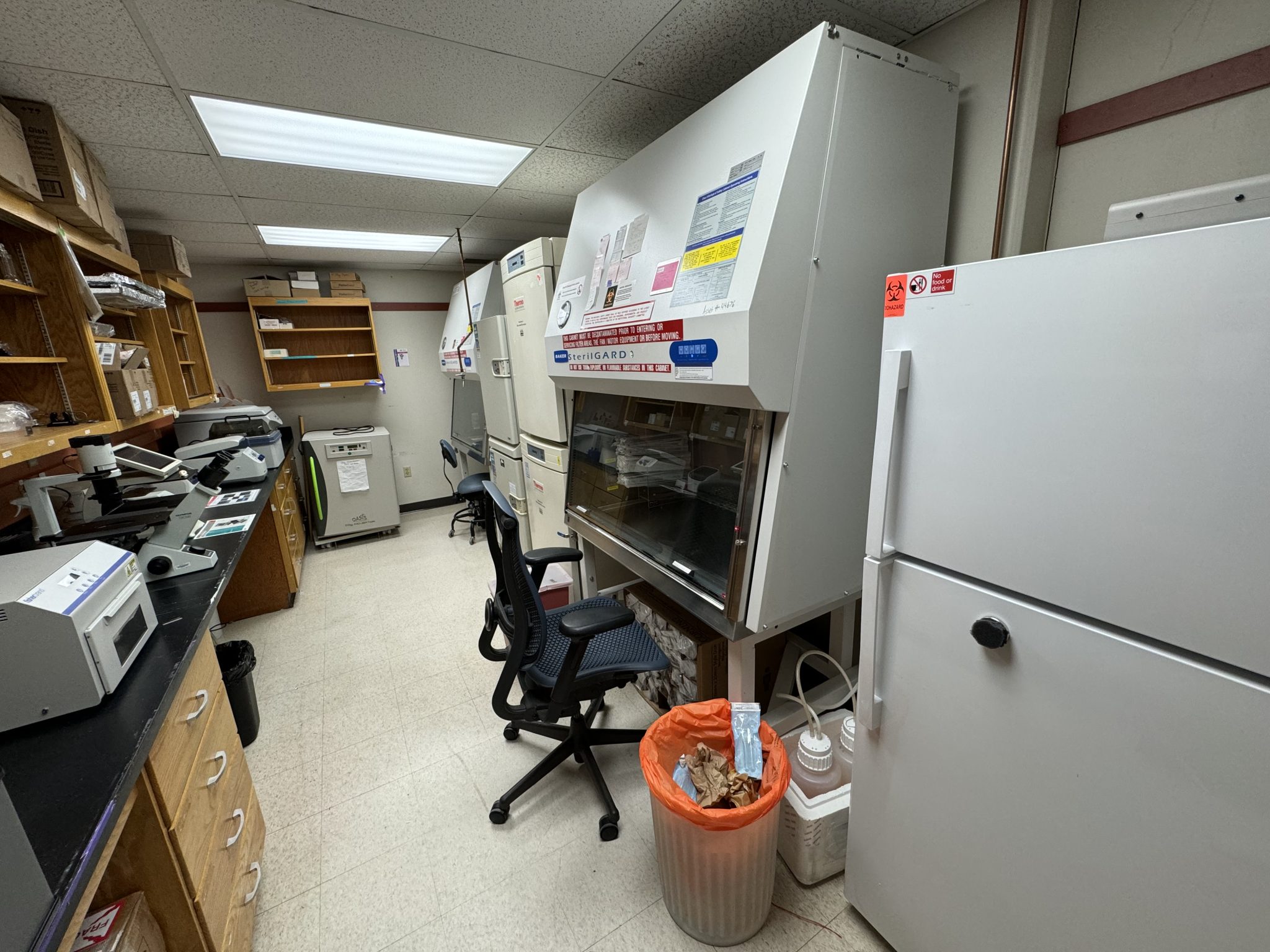 Lab Photos & Fun – The Mehta Lab – UW–Madison